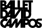 David Campos - Choreographer -Barcelona - Biography